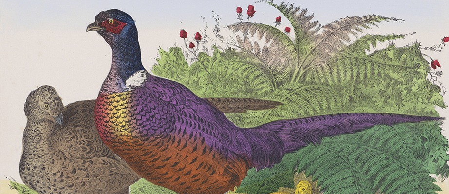 CSVで投稿・記事を一括アップロード！カスタムフィールドを使用した場合の事例つき【WordPress】｜ STUDIO NNC 合同会社｜Web制作・ホームページ制作 | 東京都稲城市 ...